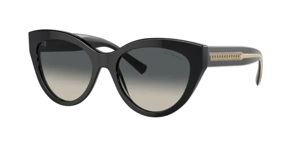 Tiffany & Co. Sunglasses - Grey Gradient