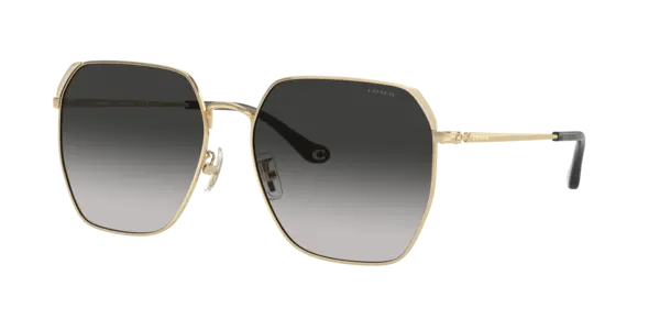 COACH Sunglasses - Grey Gradient
