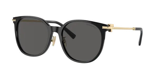 Tiffany & Co. Sunglasses - Grey Gradient
