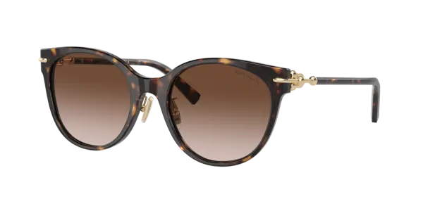 Tiffany & Co. Sunglasses - Brown Gradient