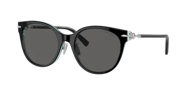 Tiffany & Co. Sunglasses - Grey Gradient