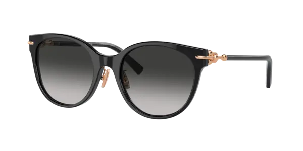 Tiffany & Co. Sunglasses - Grey Gradient