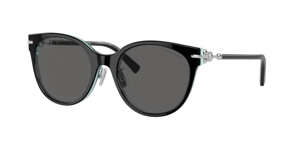 Tiffany & Co. Sunglasses - Grey Gradient