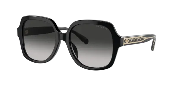 COACH Full Rim Sunglasses - Grey Gradient