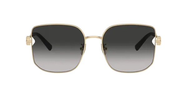 Tiffany & Co. Sunglasses