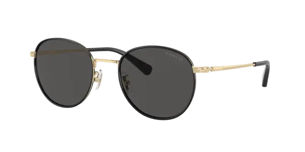 COACH Sunglasses - Grey Solid