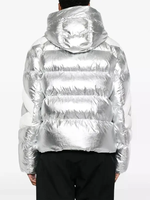 Fusalp Charloy Metallic Ski Jacket - Silver