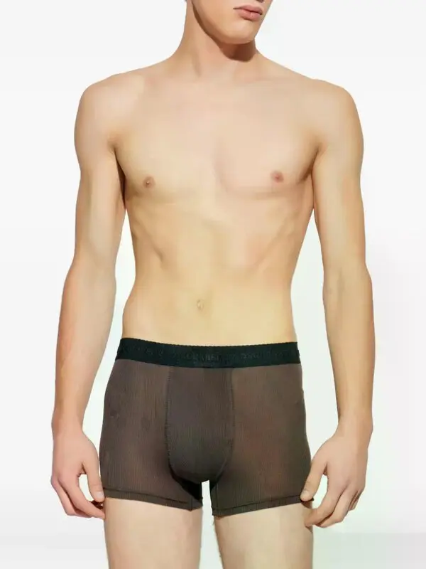 Dsquared2 Logo-waistband Boxers - Brown