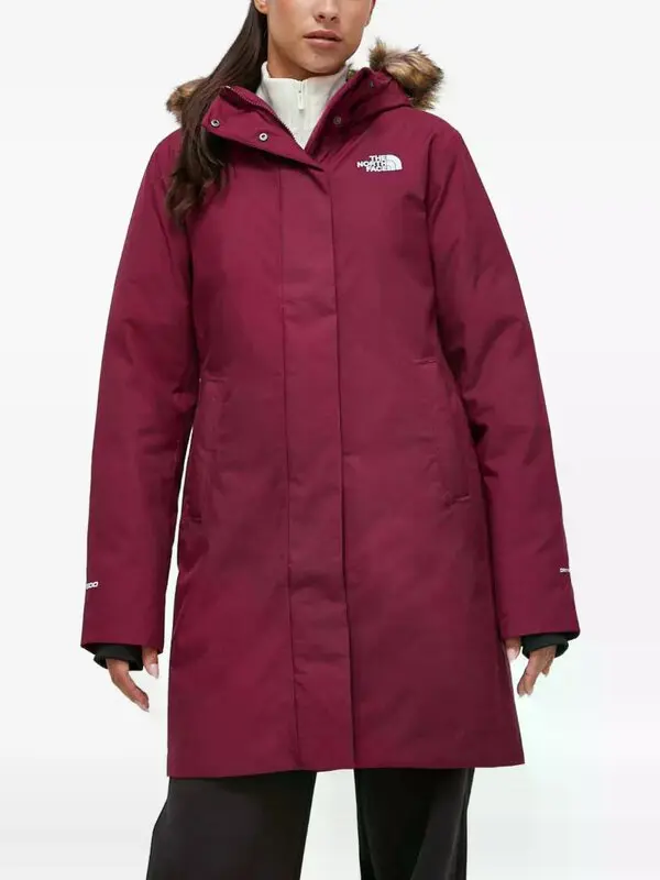 The North Face Artic Parka