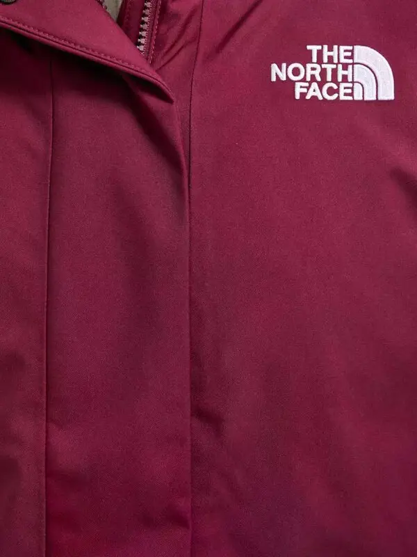 The North Face Artic Parka