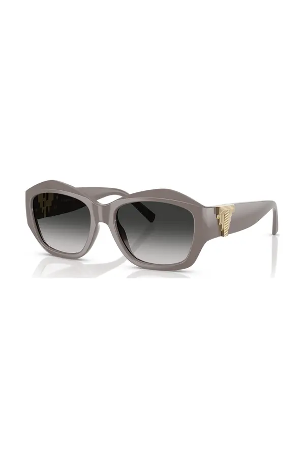 TIFFANY SUNGLASS HUT Tiffany & Co. Rectangular Sunglasses - Brown