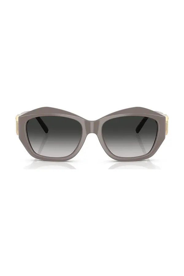 TIFFANY SUNGLASS HUT Tiffany & Co. Rectangular Sunglasses