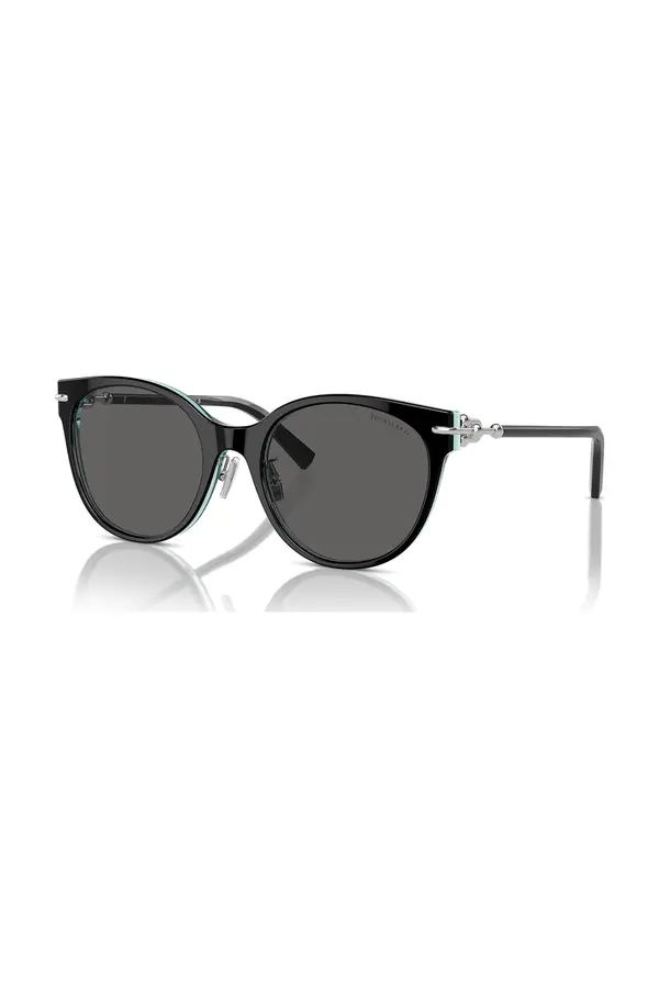 TIFFANY SUNGLASS HUT Tiffany & Co. Cat Eye Sunglasses - Black