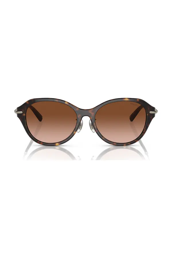 TIFFANY SUNGLASS HUT Tiffany & Co. Oval Sunglasses