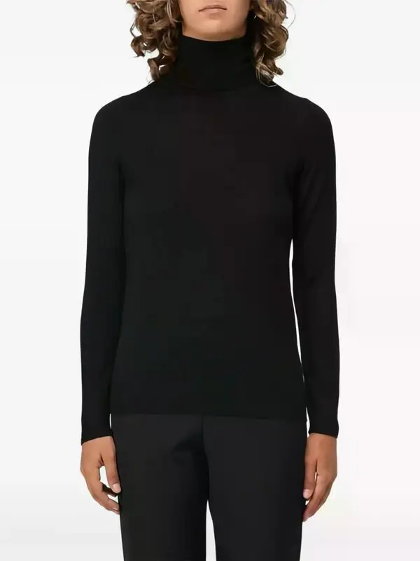 Malìparmi Roll-neck Pullover