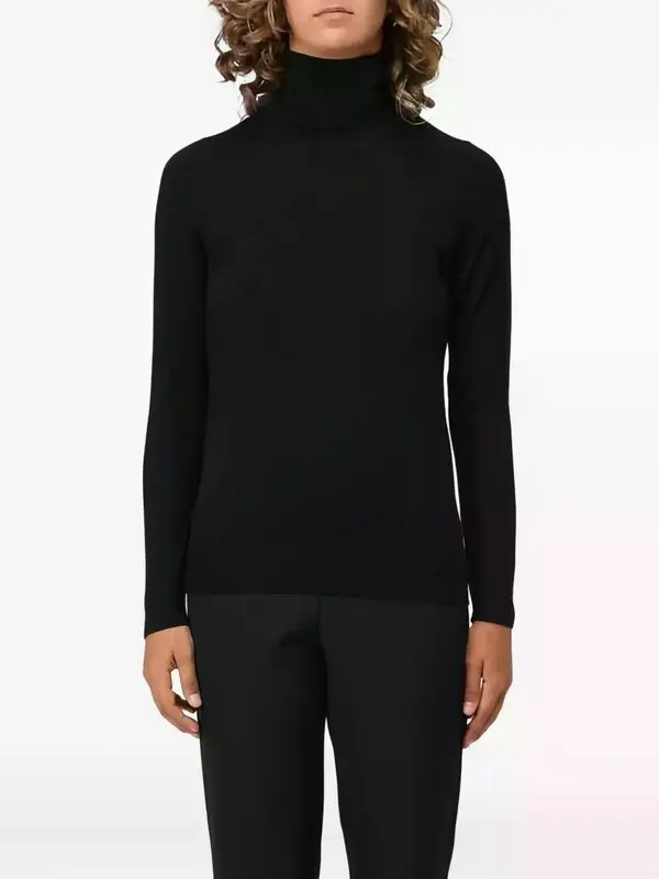 Malìparmi Roll-neck Pullover