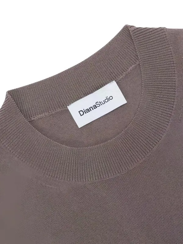 DIANA STUDIO Crew-neck Long-sleeve Sweater