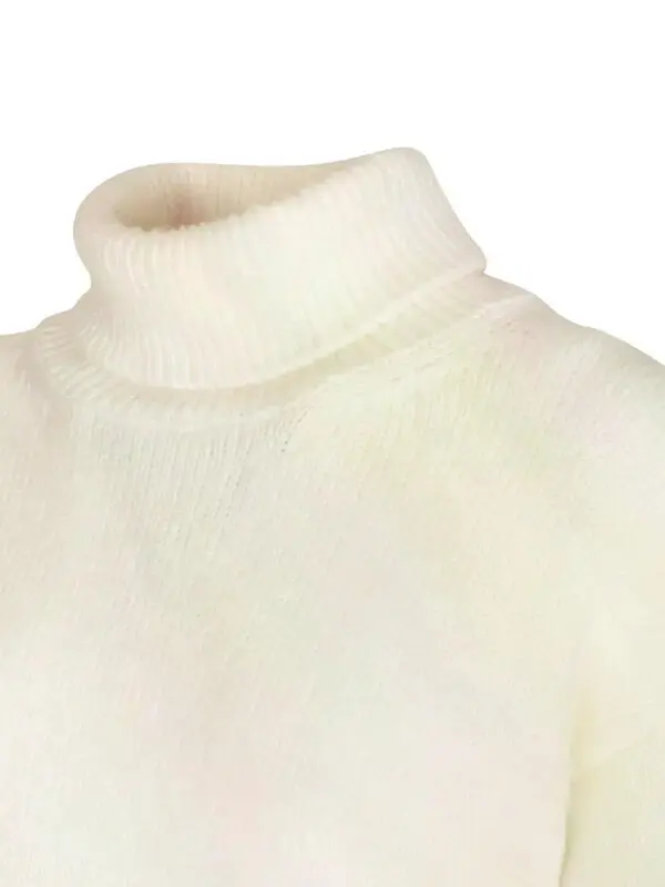Add Roll-neck Long Sleeve Sweater