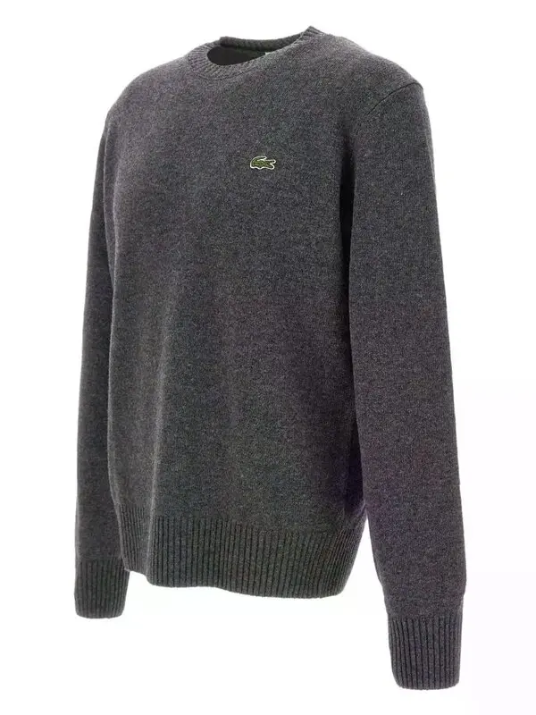 Lacoste Embroidered Crew-neck Sweater