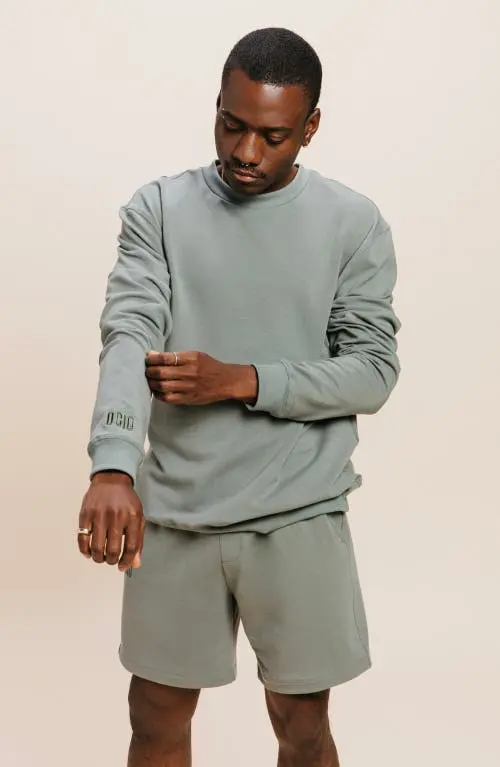 OCIO Classic Crewneck Sweatshirt - Sage