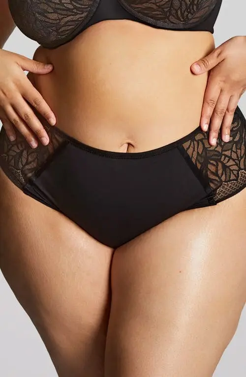 Panache Sophia Lace Cheeky Briefs - Black