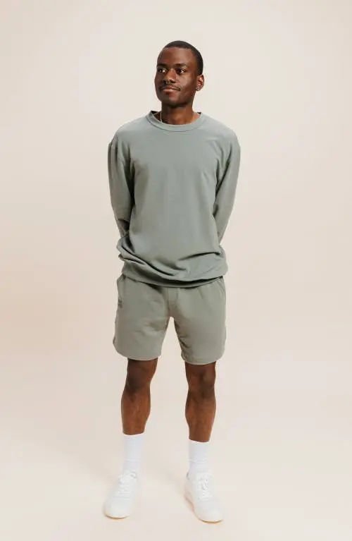 OCIO Classic Softcore Short - Sage