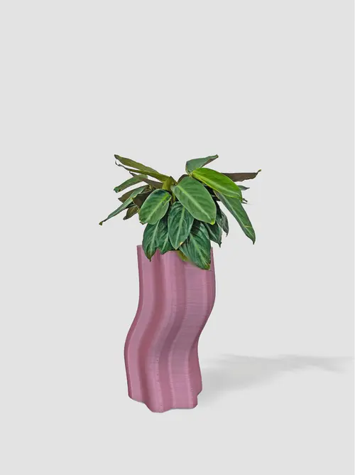 FORM & SEEK Frosting Large Planters - Pink