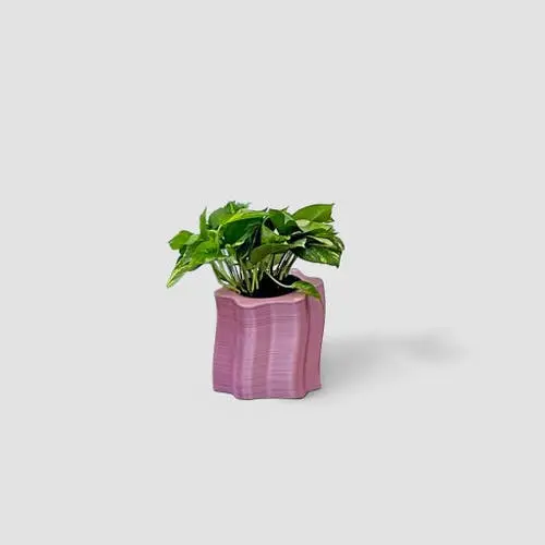 FORM & SEEK Frosting Short Planters - Pink