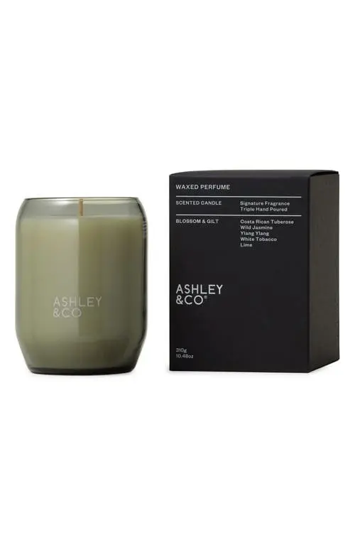 ASHLEY & CO Waxed Perfume Scented Candle - Blossom Gilt