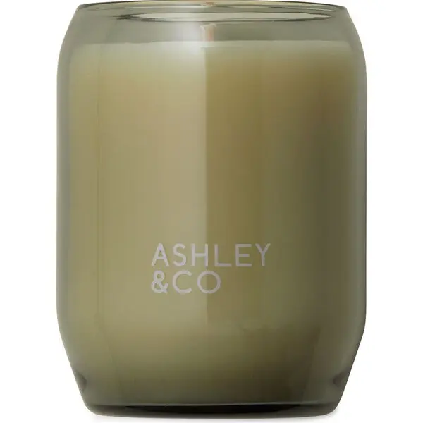 ASHLEY & CO Waxed Perfume Scented Candle - Parakeets Pearls