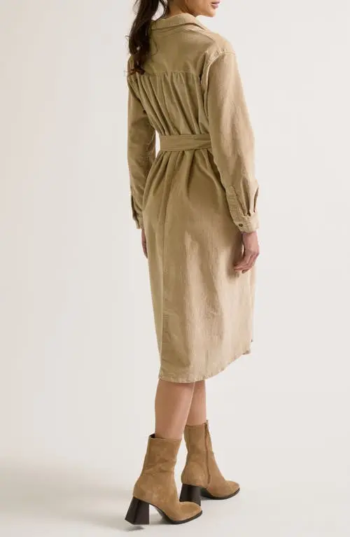 CACHE COEUR Maternity Corduroy Shirt Dress - Hazel