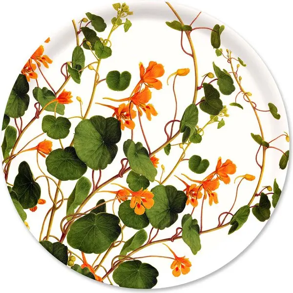 CASKATA Bunny Maximus Large Rectangular Birchwood Traywood & Melamine - Nasturtiums  Tray