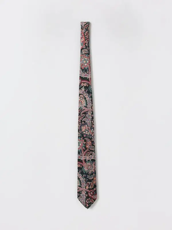 Etro Neck Tie - Multicolor