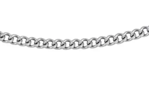 Estée Lauder Fine Curb Chain Necklace