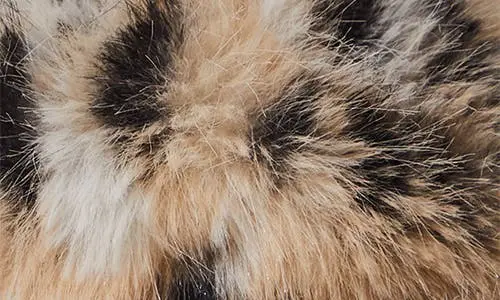 Free People Faux Fur Bucket Hat In Leopard - 40% Off 