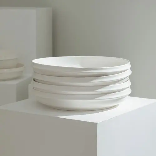 STONE + LAIN Verso Porcelain 4-piece Dinner Plate Set