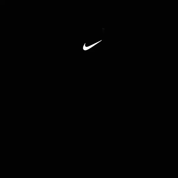 Nike Tempo Luxe Running Shorts