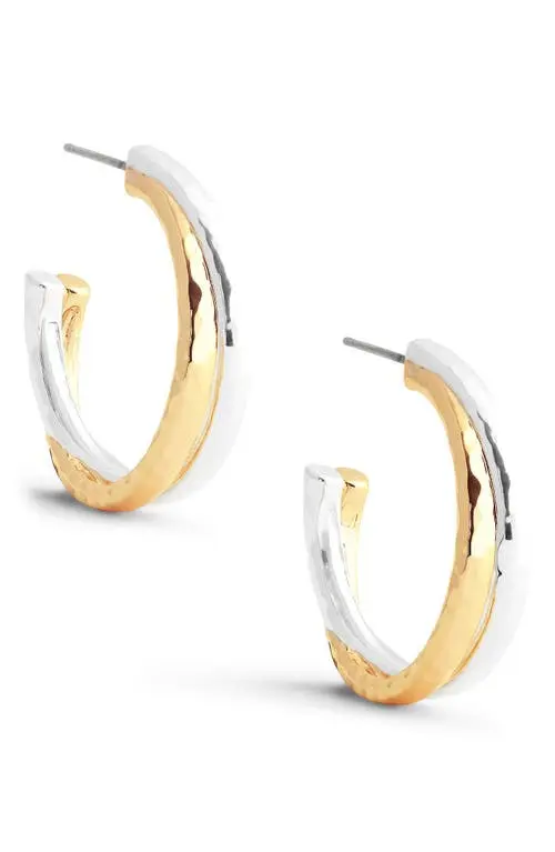 ANABEL ARAM JEWELRY Farrier Mixed Metal Hoop Earrings - 18k Gold/sterling Silver