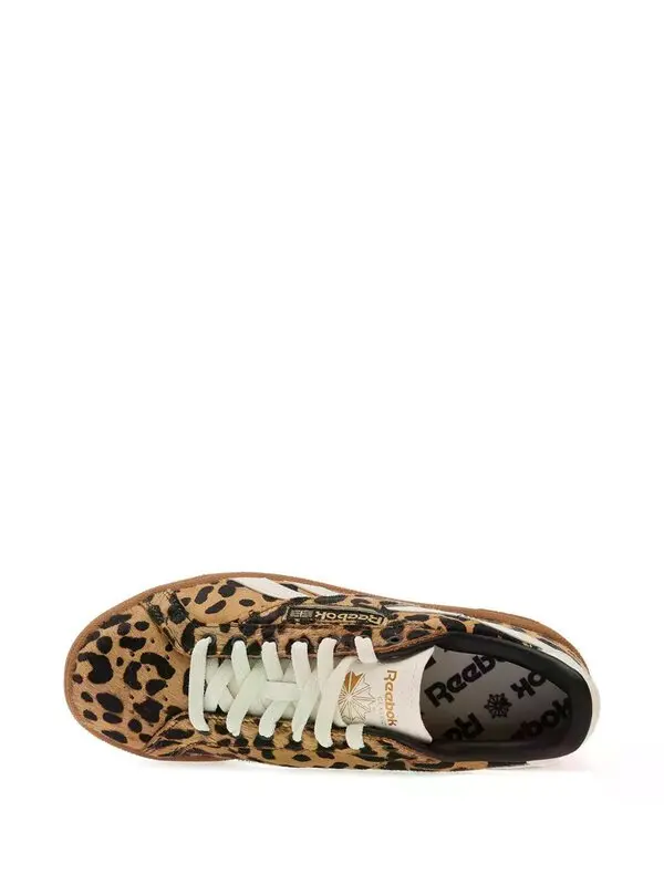 REEBOK Club C Grounds Sneakers - Brown