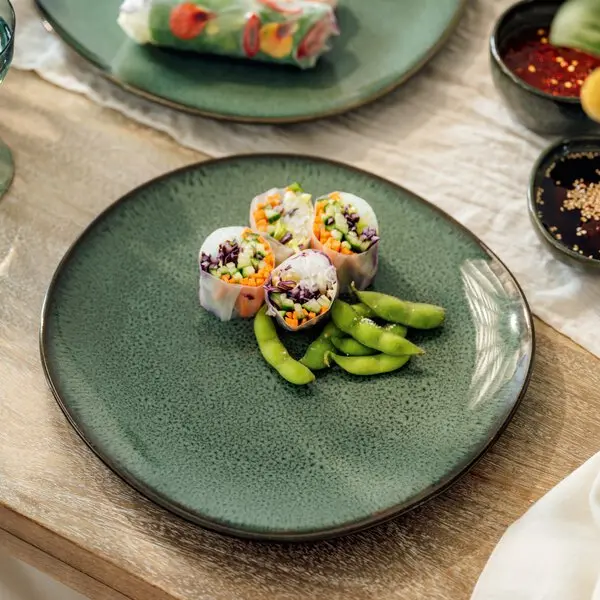 VILLEROY & BOCH Lave Vert Dinner Plate - Green