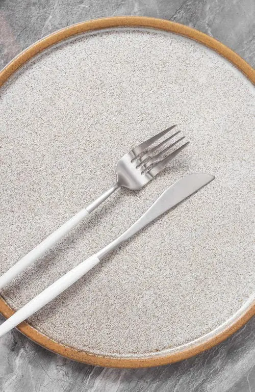 STONE + LAIN Vince Stoneware 4-piece Dinner Plate Set - Brown