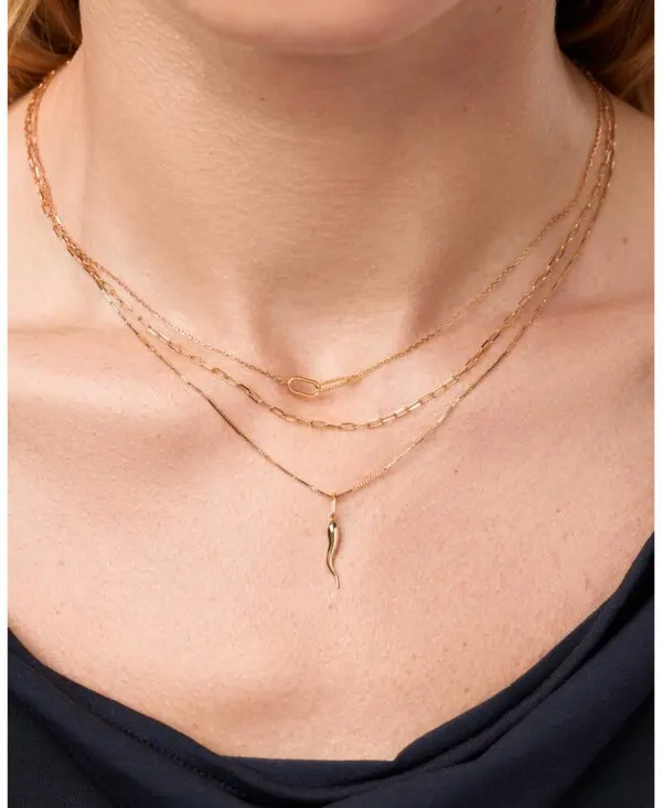ANA LUISA Italian Horn Charm Necklace