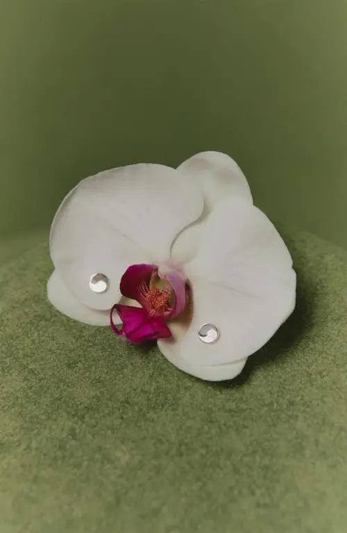LOUPN Taegeuk Peace Stud Earrings