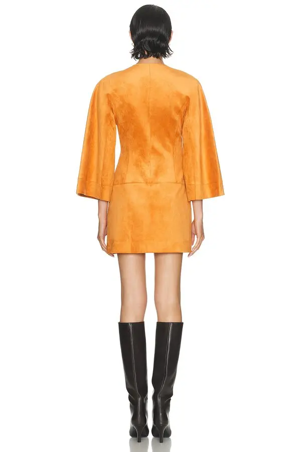 Alexis Anesa Mini Dress - Sienna