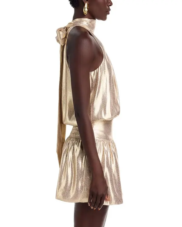 Ramy Brook Metallic Alexi Dress