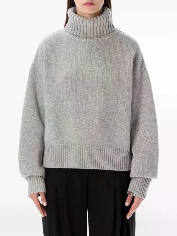 Extreme Cashmere Roll-neck Long-sleeve Sweater