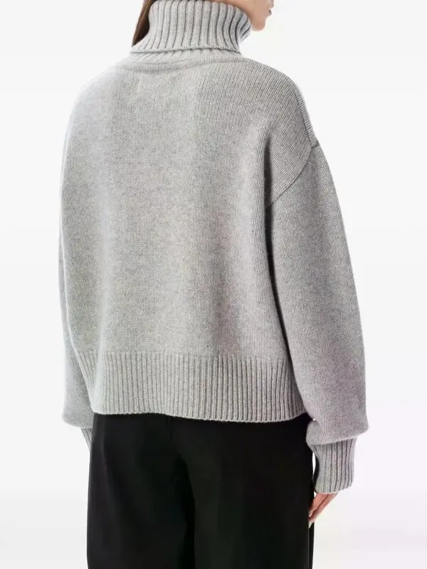 Extreme Cashmere Roll-neck Long-sleeve Sweater