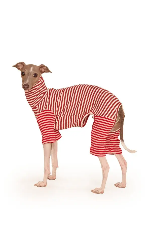 LITTLE BEAST Stretch-cotton Dog Onesie - Stripe