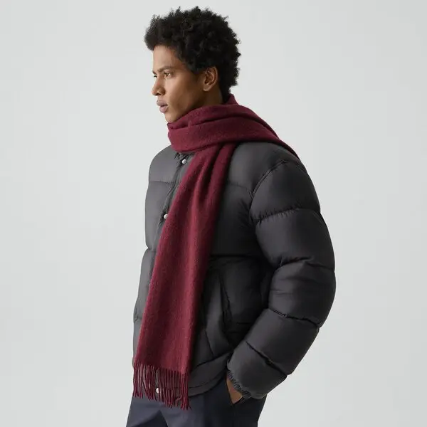 Theory Scarf In Plush Cashmere - Port