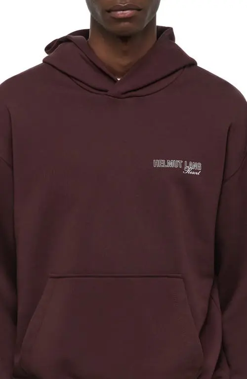 Helmut Lang Skier Cotton Hoodie - Mahogany